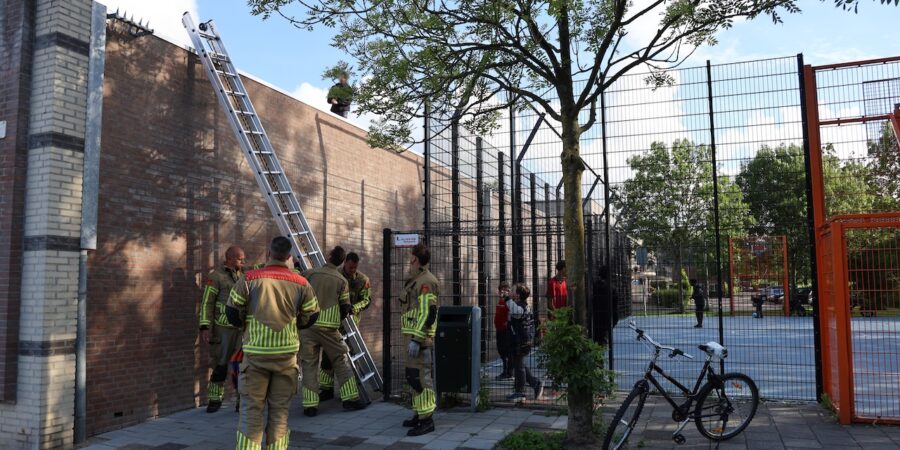 Brandweer haalt jongen van dak Gymzaal Zijlkwartier | Centraal+