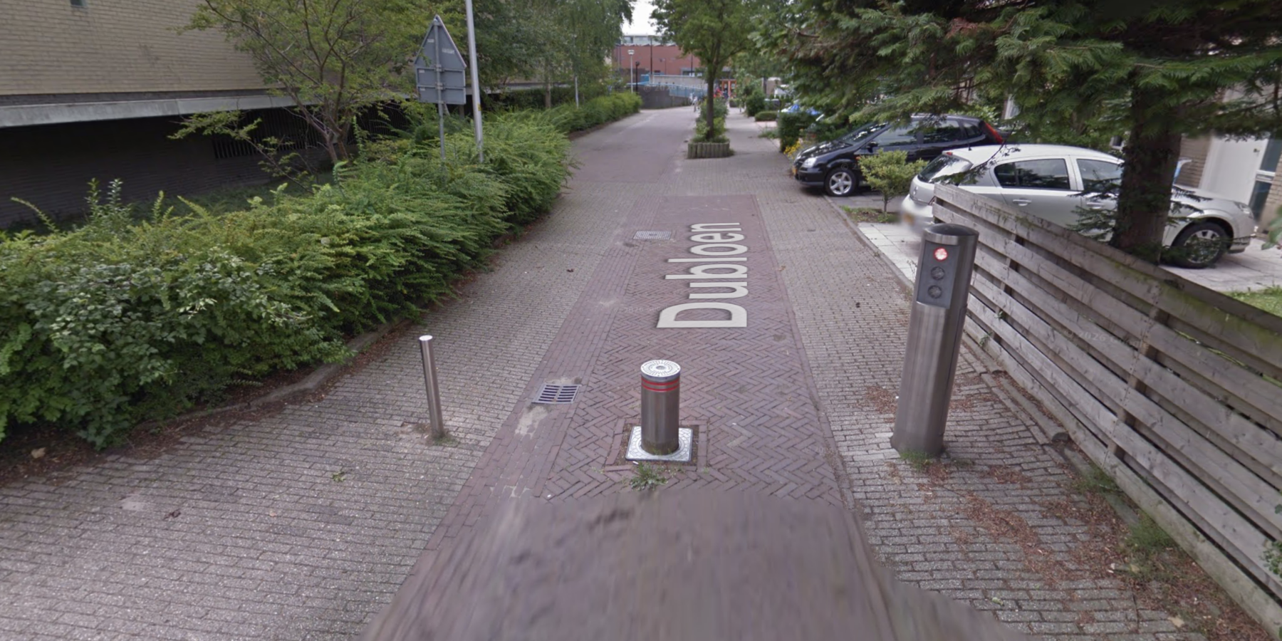 Informatieavond over terugkeer pollers Dubloen en Obool | Centraal+